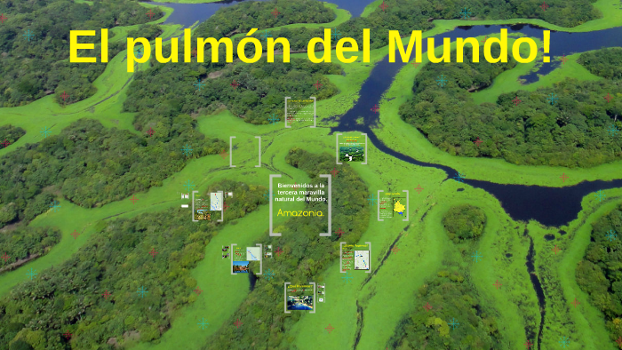 El pulmón del Mundo! by Ana María Guzmán González on Prezi