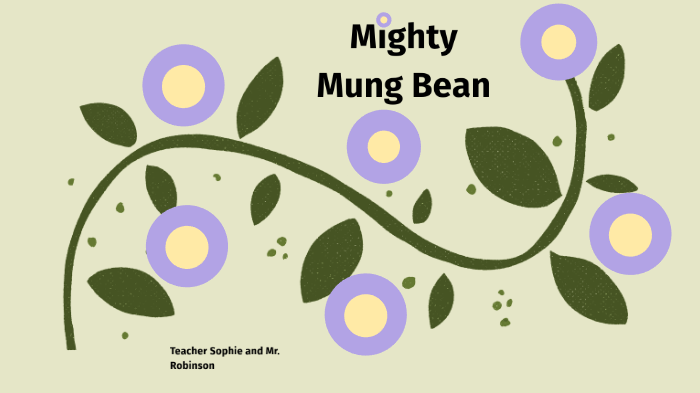 Life Cycle of the Mung Bean by Brian Robinson on Prezi