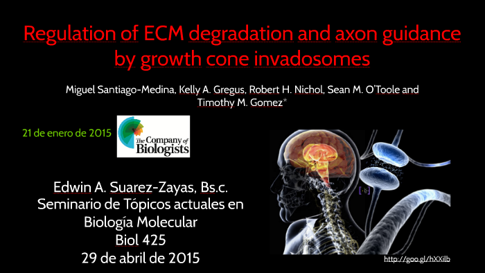 Regulation of ECM degradation and axon guidance by growth co by Edwin ...