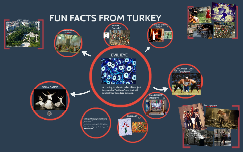 FUN FACTS FROM TURKEY by ilke ozcan