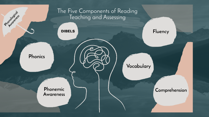 The Five Components of Reading by Suzi Howard on Prezi