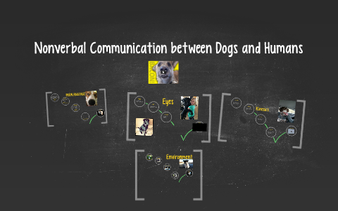 Nonverbal Communication between Dogs and Humans by Natalie Newell on Prezi