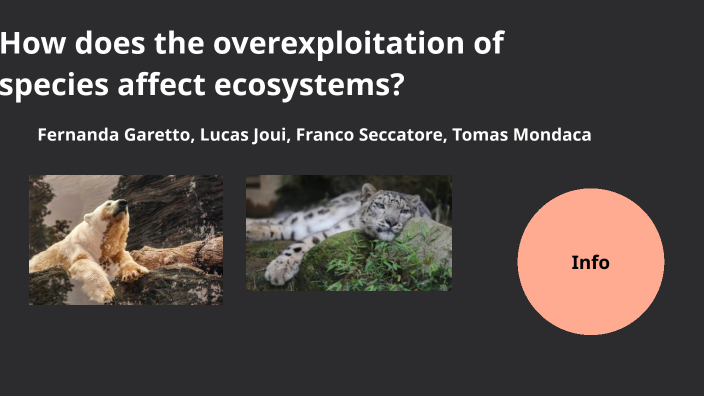 How does the overexploitation of species affect ecosystems? by FERNANDA ...