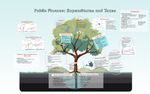 Chapter 16: Public Finance: Expenditures and Taxes by Meggie Gresham on ...