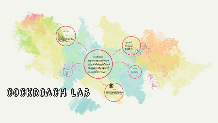 cockroach lab by salah oudades on Prezi