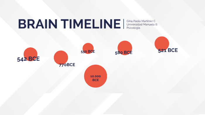 Brain TimeLine by Paola Martinez on Prezi