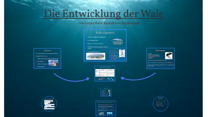 Die Entwicklung der Wale by Annika Gade on Prezi
