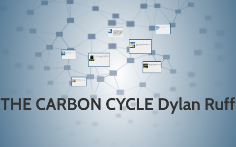 THE CARBON CYCLE BY Dylan Ruff by Dylan Ruff on Prezi