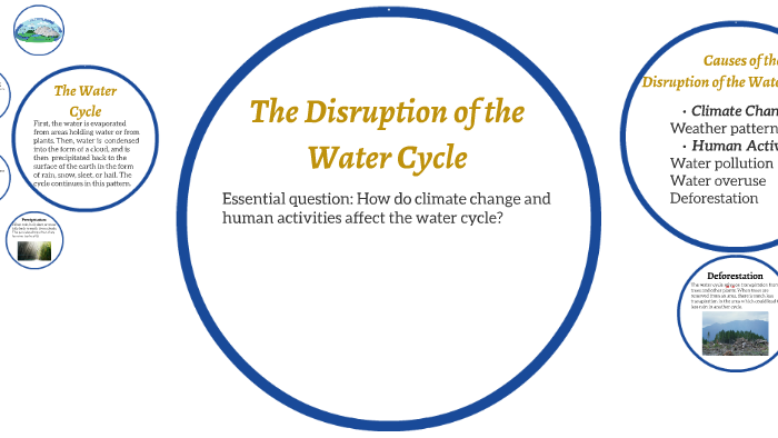 The Disruption of the Water Cycle by Lauren Fitzgerald