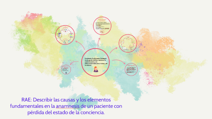 RAE: Describir las causas y los elementos fundamentales en l by Laura ...
