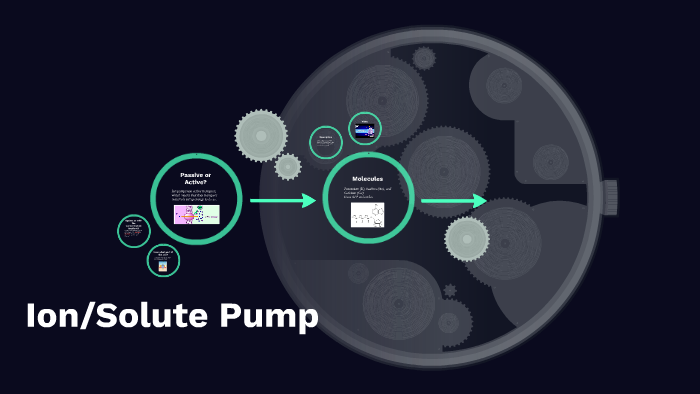 Ion/Solute Pump by Memphis Poston on Prezi