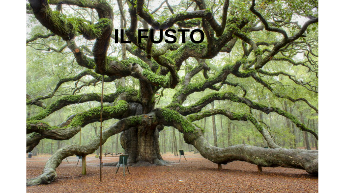 IL FUSTO by Eleonora Zadra on Prezi
