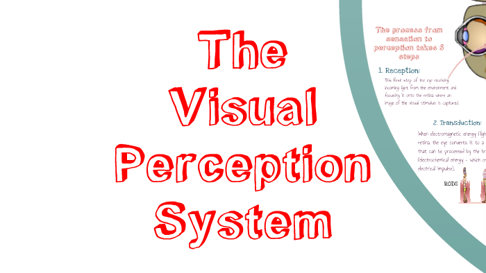 The Visual Perception System by Christina Symons on Prezi