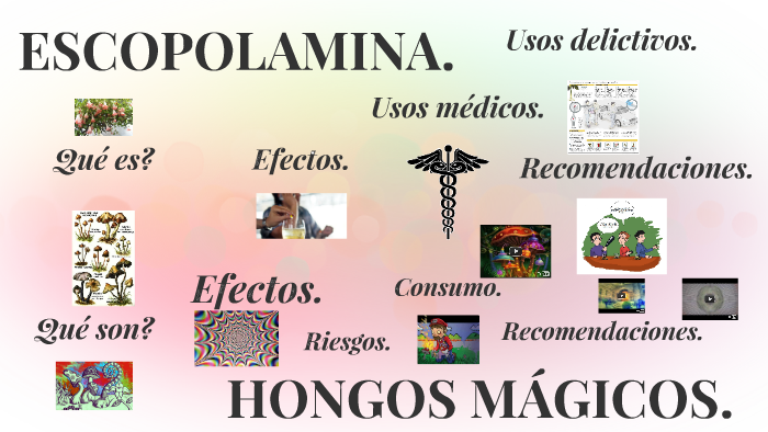 ESCOPOLAMINA by Nicolás Castiblanco on Prezi