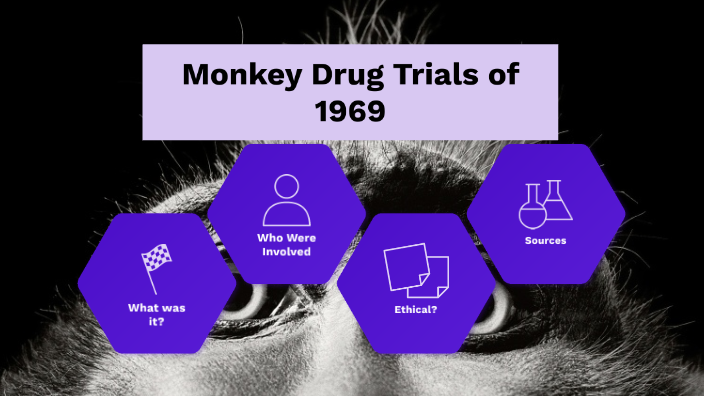 Monkey Drug Trials of 1969 by Jesus T on Prezi