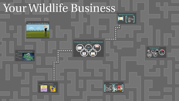 Your Wildlife Business by liz crandall on Prezi
