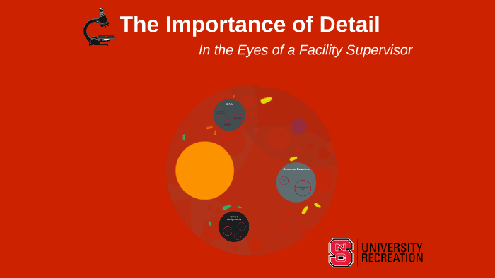 The Importance of Detail by on Prezi