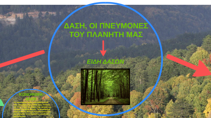 ΔΑΣΗ, ΟΙ ΠΝΕΥΜΟΝΕΣ ΤΟΥ ΠΛΑΝΗΤΗ ΜΑΣ by Elina Anastopoulou on Prezi