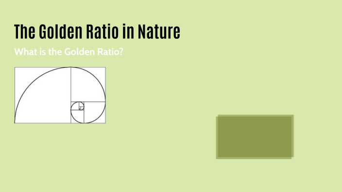 The Golden Ratio in Nature by Christo MoRvan on Prezi