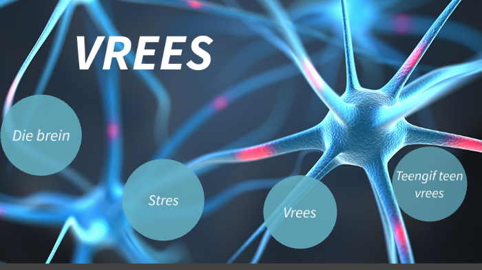 Vrees by Friedel Coetsee on Prezi