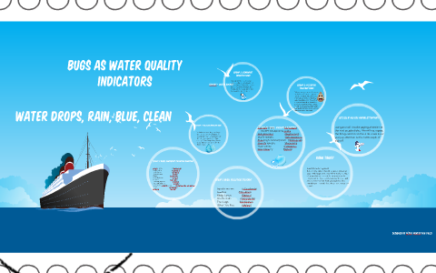 Bugs as Water Quality Indicators by Elizabeth Thweny on Prezi