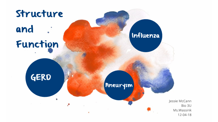 Structures and Functions by Jessie McCann on Prezi