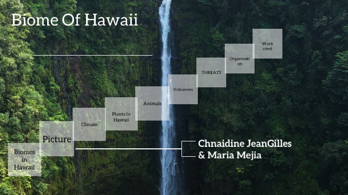 Biomes Of Hawaii by chnaidine jean-gilles on Prezi