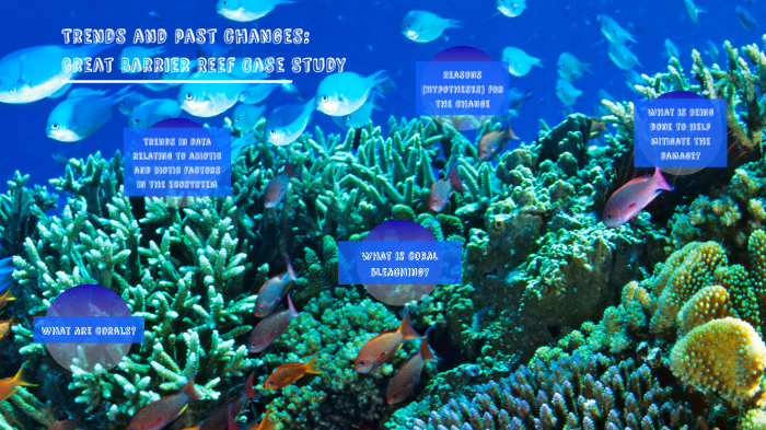 Trends and past changes: Great Barrier Reef Case Study by Annika B on Prezi
