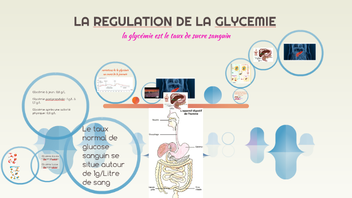 LA REGULATION DE LA GLYCEMIE by dominique silvain on Prezi