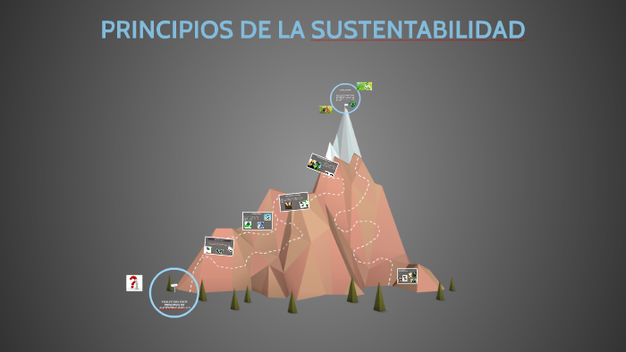 PRINCIPIOS DE LA SUSTENTABILIDAD by diego dominguez zacapala