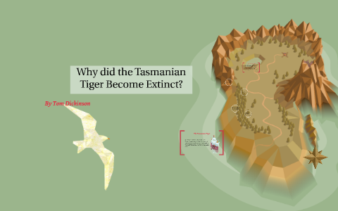 Why and How did the Tasmanian Tiger Become Extinct by Tom Dickinson on ...