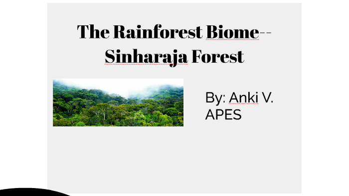 Rainforest Concept Map by Anki Daniel on Prezi