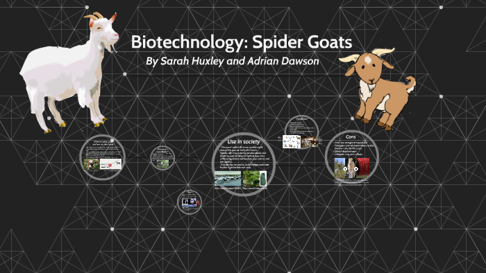 Biotechnology: Spider Goats by Sarah Huxley on Prezi