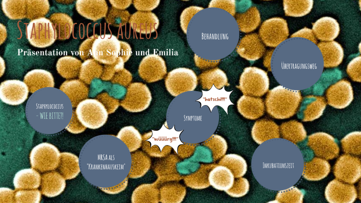 2020 9F2 MRSA Emilia Ann Sophie by Emilia Naomi Simon on Prezi 2020 9F2 MRSA Emilia Ann Sophie by Emilia Naomi Simon on Prezi