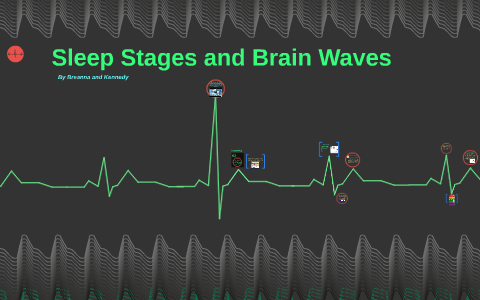 Sleep Stages and Brain Waves by BeeBot Brink on Prezi