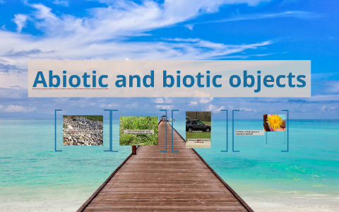 Abiotic and biotic objects by samyia williams on Prezi
