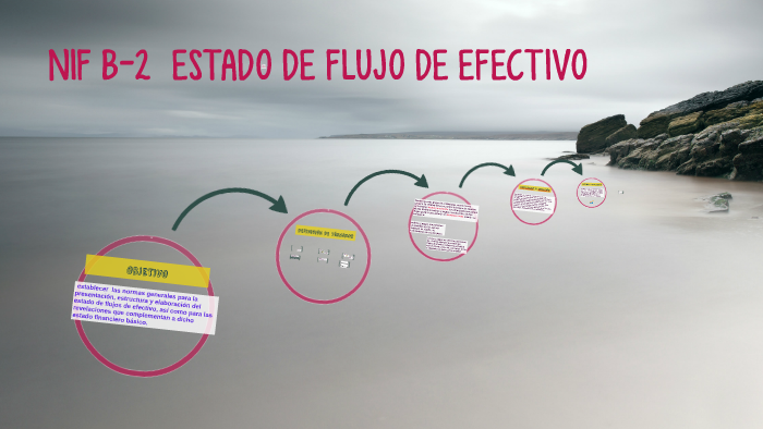 NIF B-2 ESTADO DE FLUJO DE EFECTIVO by dulce flores castillo on Prezi