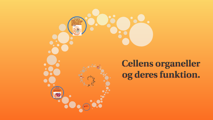Cellens organeller og deres funktion. by Maria Grandt on Prezi