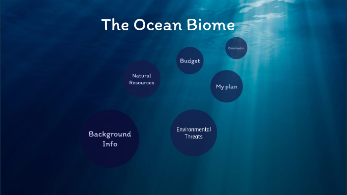 Ocean Biome Shark Tank by Jennifer Zhang on Prezi