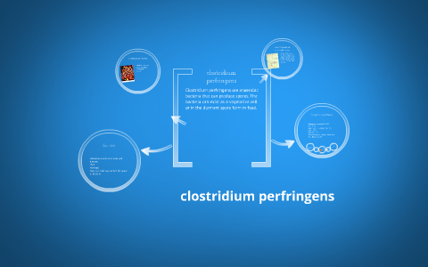 clostridium perfringens by Cade Blackburn on Prezi
