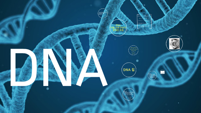 DNA by on Prezi