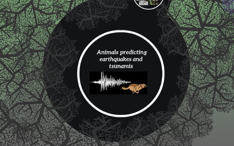 Animals predicting earthquakes and tsunamis by Veronica Villalpando on ...