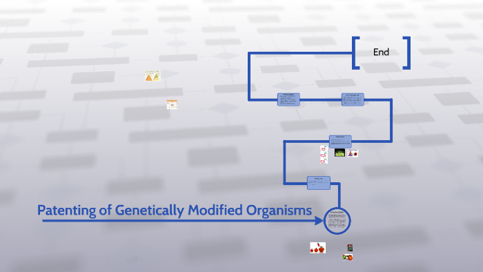 Patenting of Genetically Modified Organisms by ben dickson