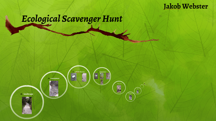 Ecological Scavenger Hunt by jakob webster on Prezi