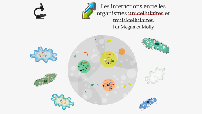 Les interactions entre les organismes unicellulaires et mult by ...