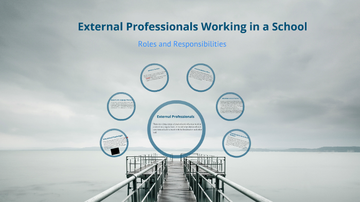 External Professionals Presentation 3 by Steve Beck on Prezi