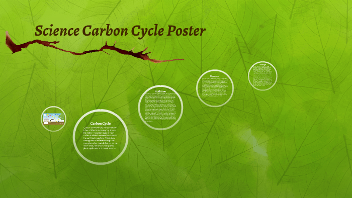 Science Carbon Cycle Poster by Wayne Wu on Prezi