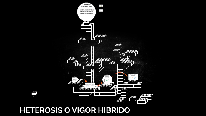 HETEROSIS O VIGOR HIBRIDO by luis alberto chapoñan rodriguez on Prezi