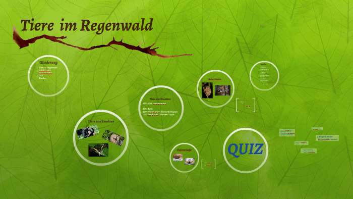Tiere und Insekten im Regenwald by Mathias Roll on Prezi