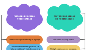 factores de riesgo modificable y no modificable en el caso propuesto by ...